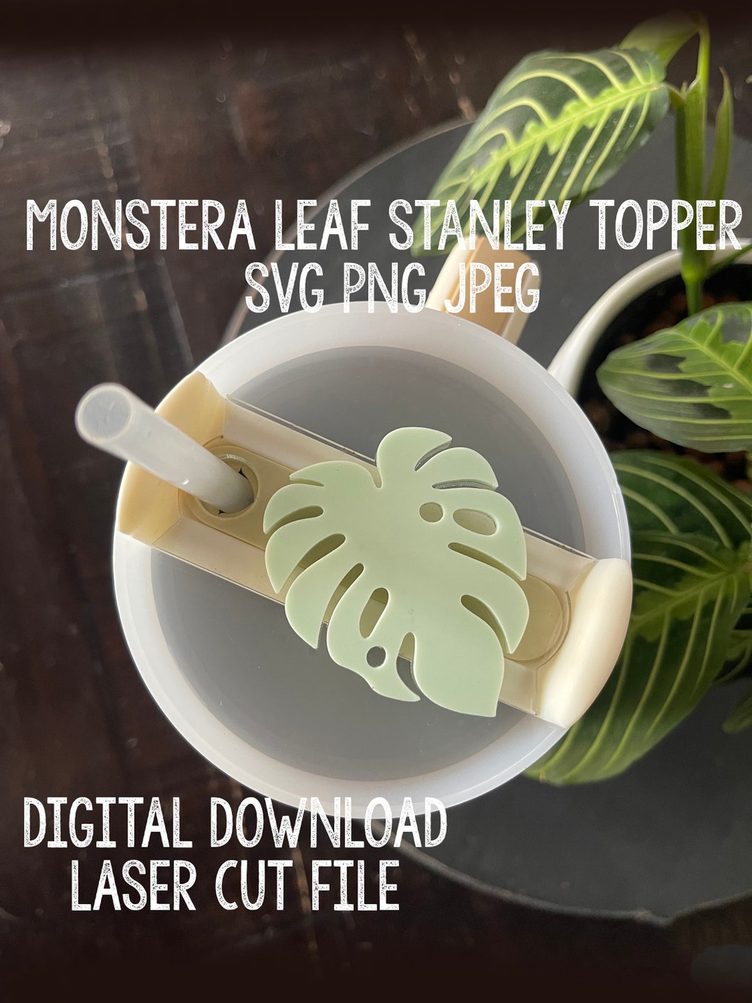 Stanley Topper Monstera Leaf Cut File Download SVG PNG JPEG - Etsy