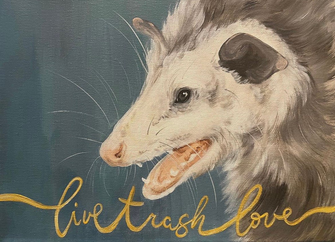 Unframed Possum Art, Possum Art, Live Laugh Love, Live Laugh Love Art ...