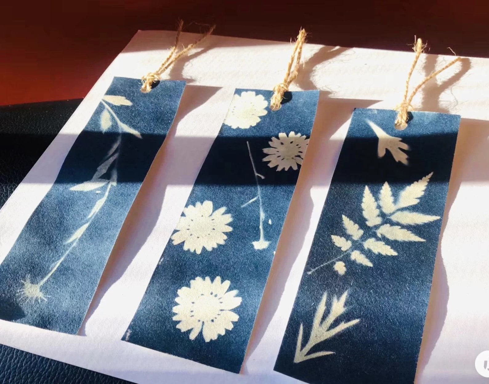 Sun Print Paper Craft solar Printing Kitsun Printing Kitsun - Etsy