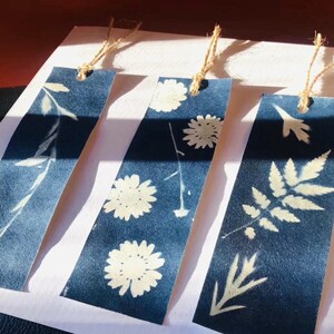 Sun Print Paper Craft ,solar Printing Kit,sun Printing Kit,sun Print ...