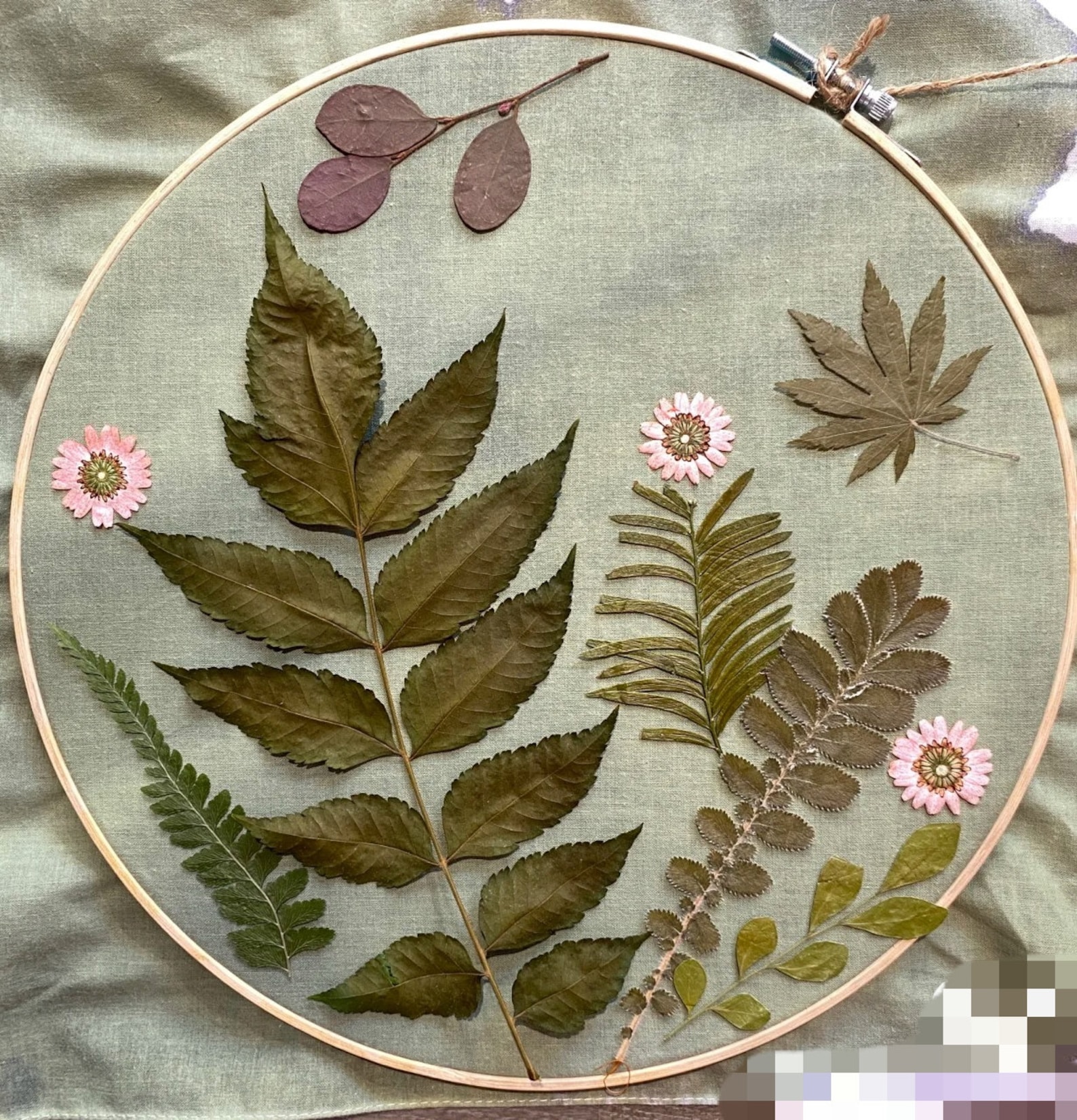 Sun Printing Kit, Solar Printing Kit, Sun Print Paper Craft ,sun Print ...