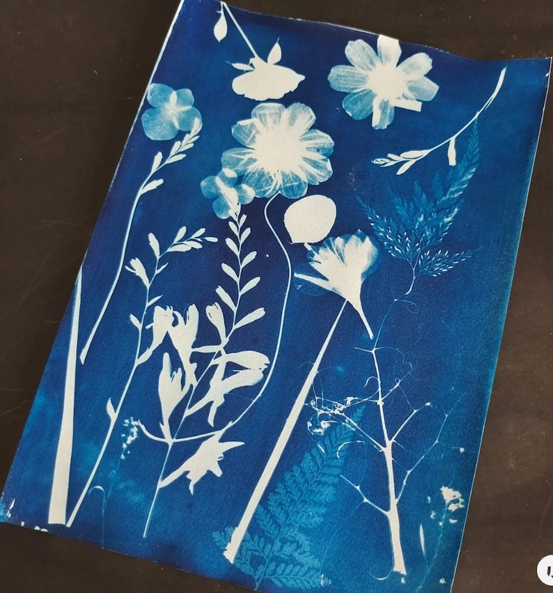 Solar Printing Kitsun Print Paper Craft sun Printing Kitsun - Etsy