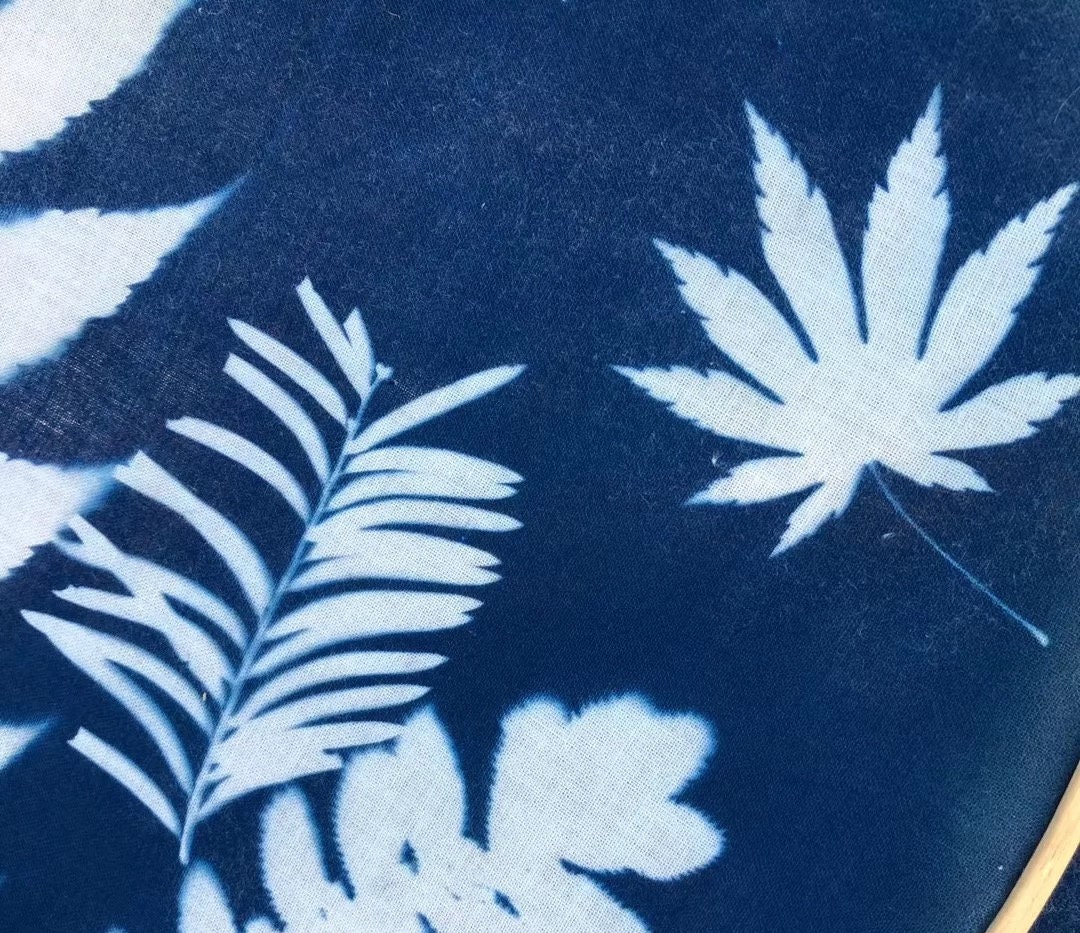 Sun Printing Kit Solar Printing Kit Sun Print Paper Craft - Etsy UK