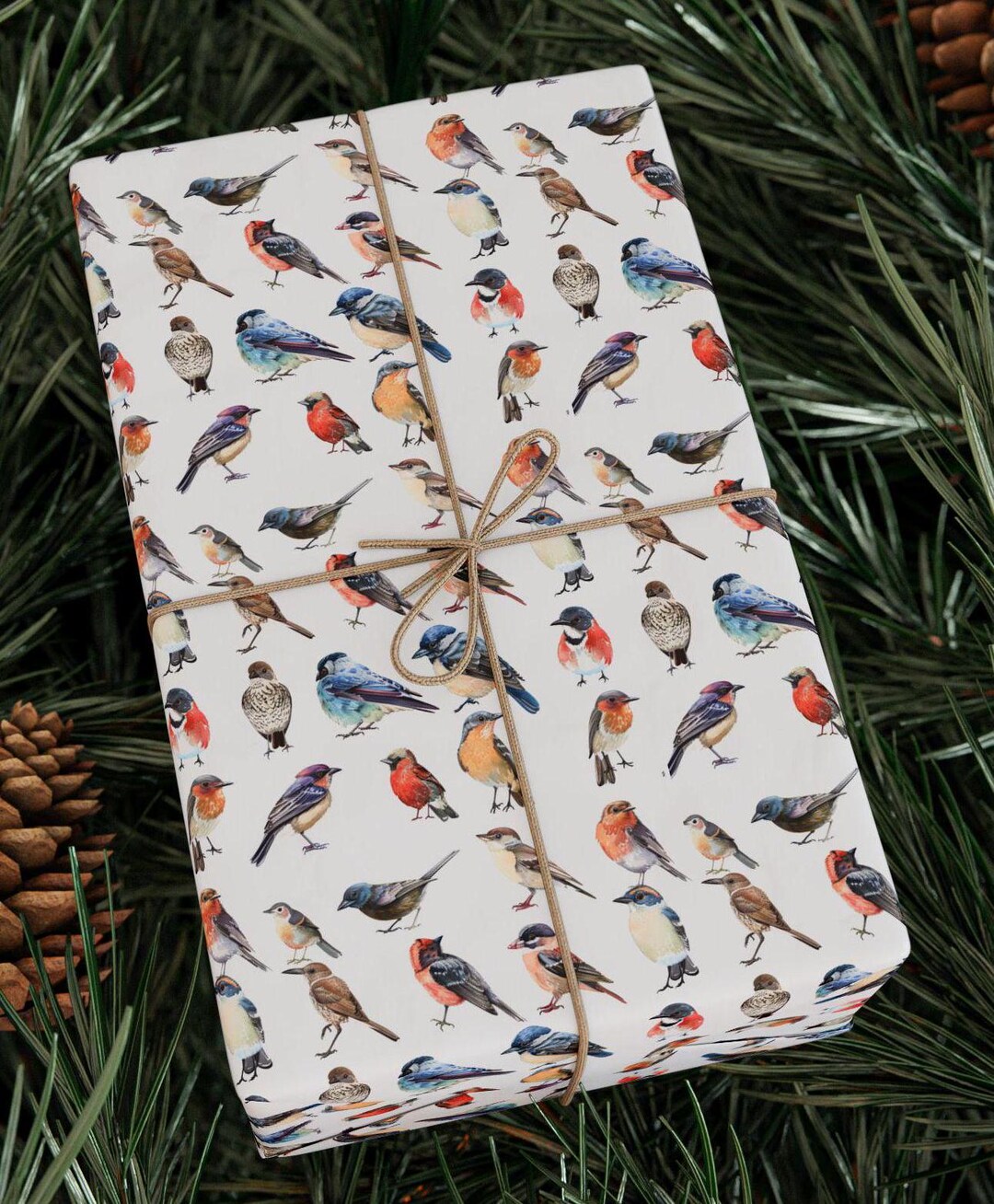Bird Wrapping Paper Roll, Variety Bird Gift Paper Wrap, Nature ...