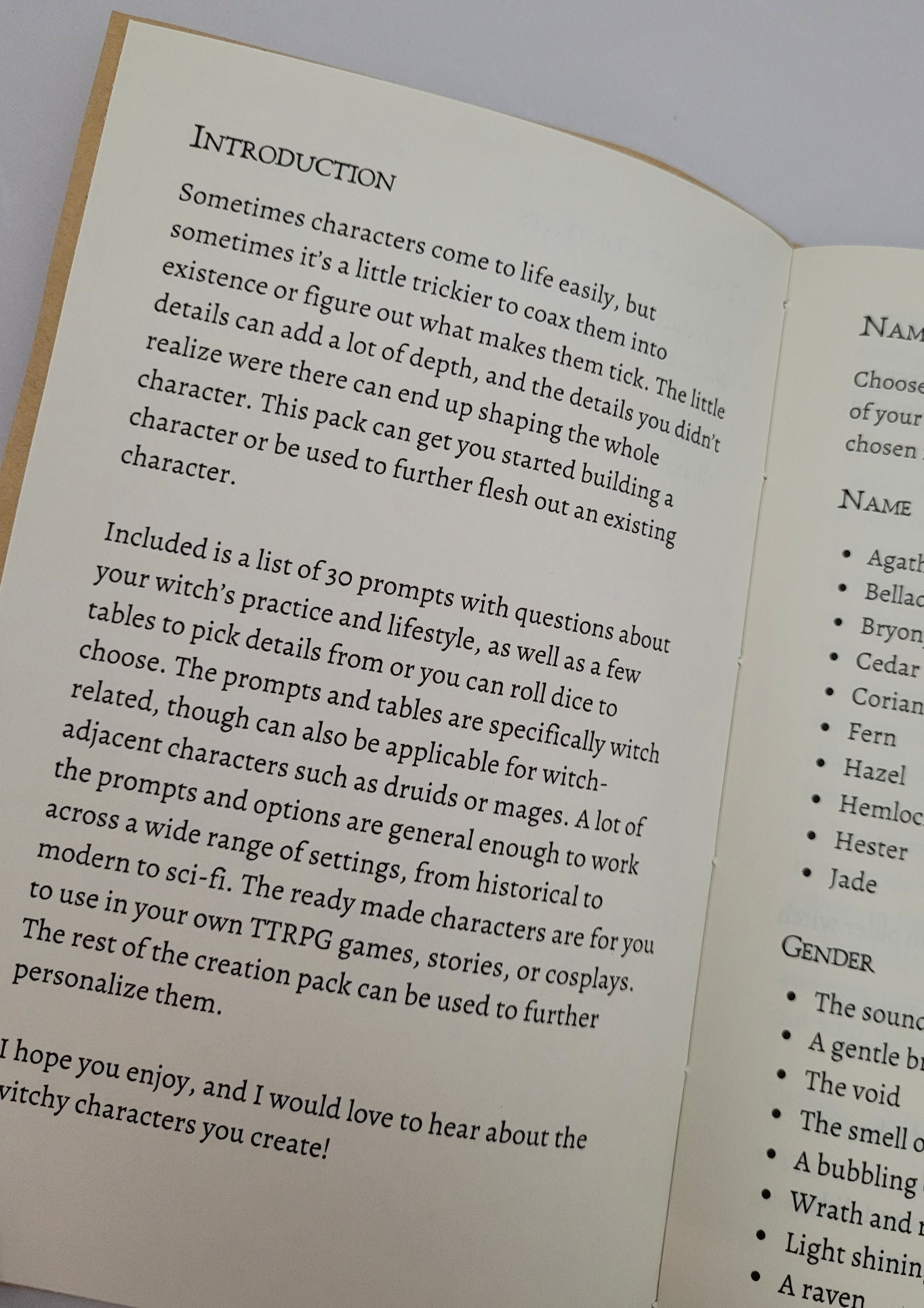Build a Character Zine Bundle - Etsy