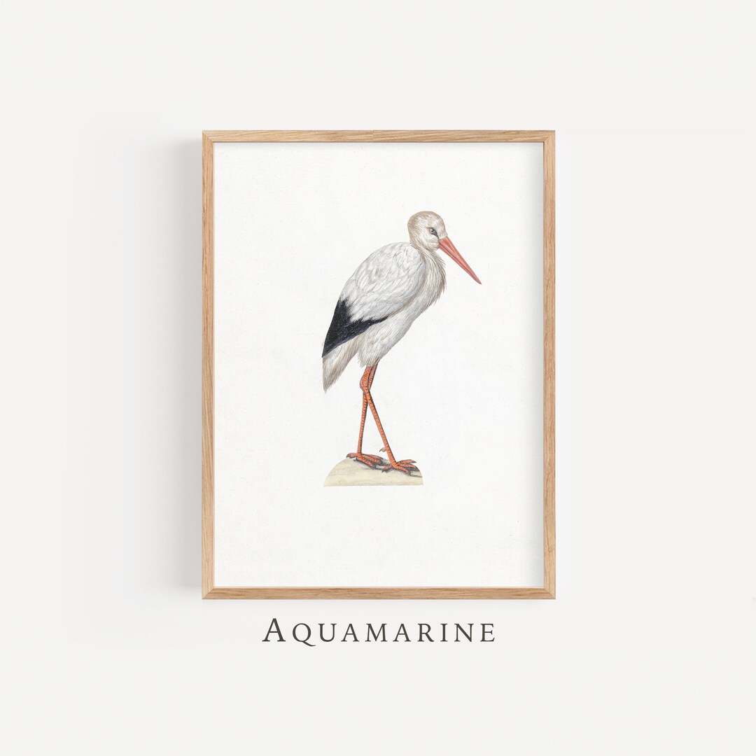 Vintage Nursery Print, Nursery Wall Art, Animal Nursery Decor, Stork ...