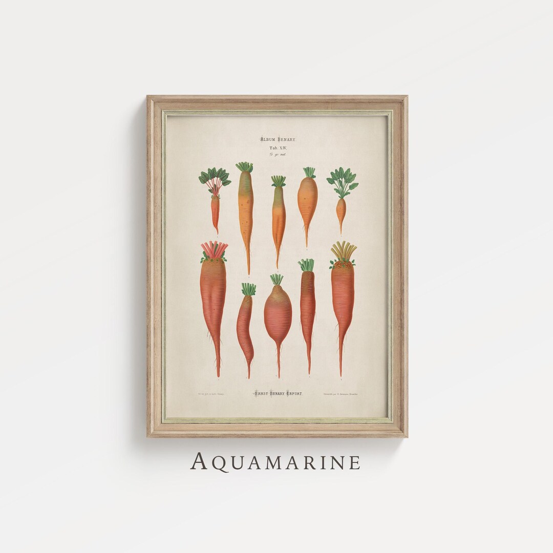 Kitchen Botanical Print: Heirloom Vegetable Illustration | KI206 - Etsy