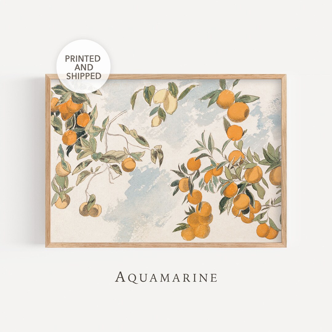 PRINT & SHIP, Orange Tree Vintage Art, Orange Tree Print, Mediterranean ...