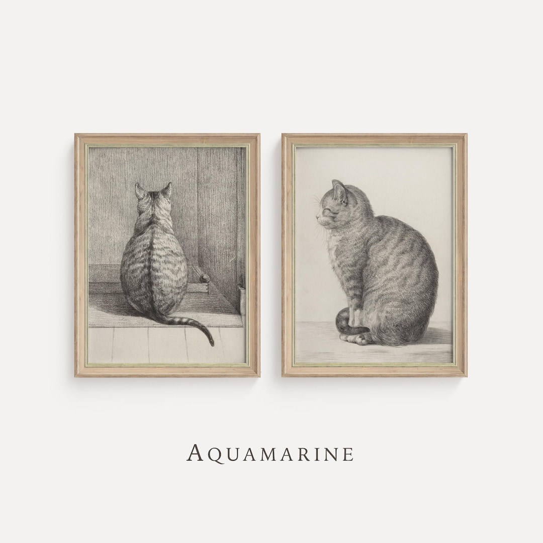 Vintage Cat Drawings Set of 2, Cat Gift Idea, Minimalist Wall Art ...