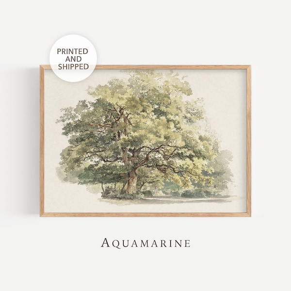 Oak Tree Print - Etsy