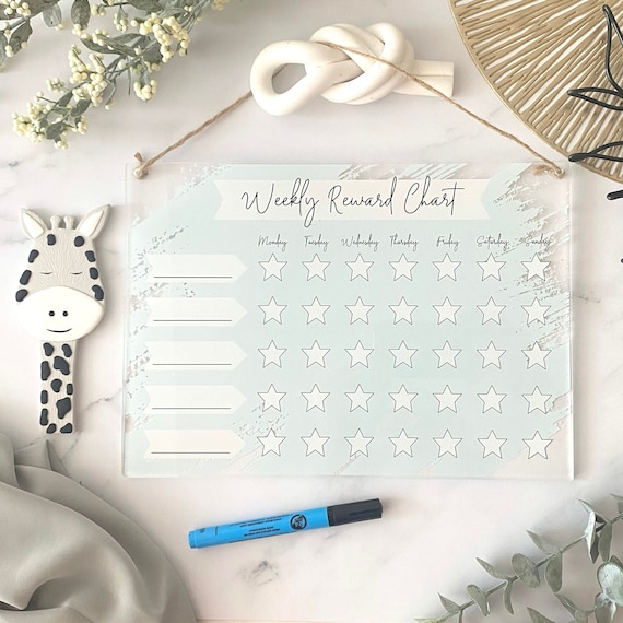 Children's Blue Wipe Clean Reward Chart Dry Wipe Reward - Etsy