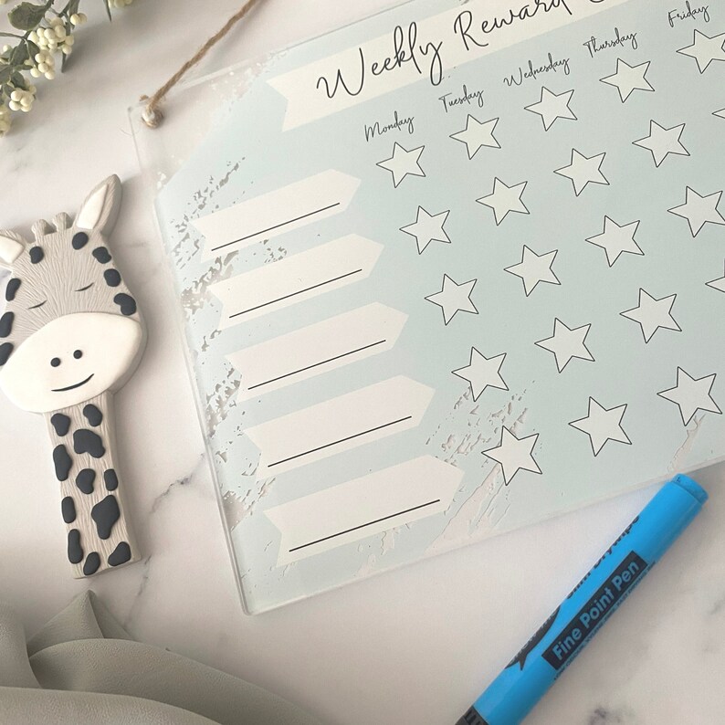 Children's Blue Wipe Clean Reward Chart Dry Wipe Reward - Etsy