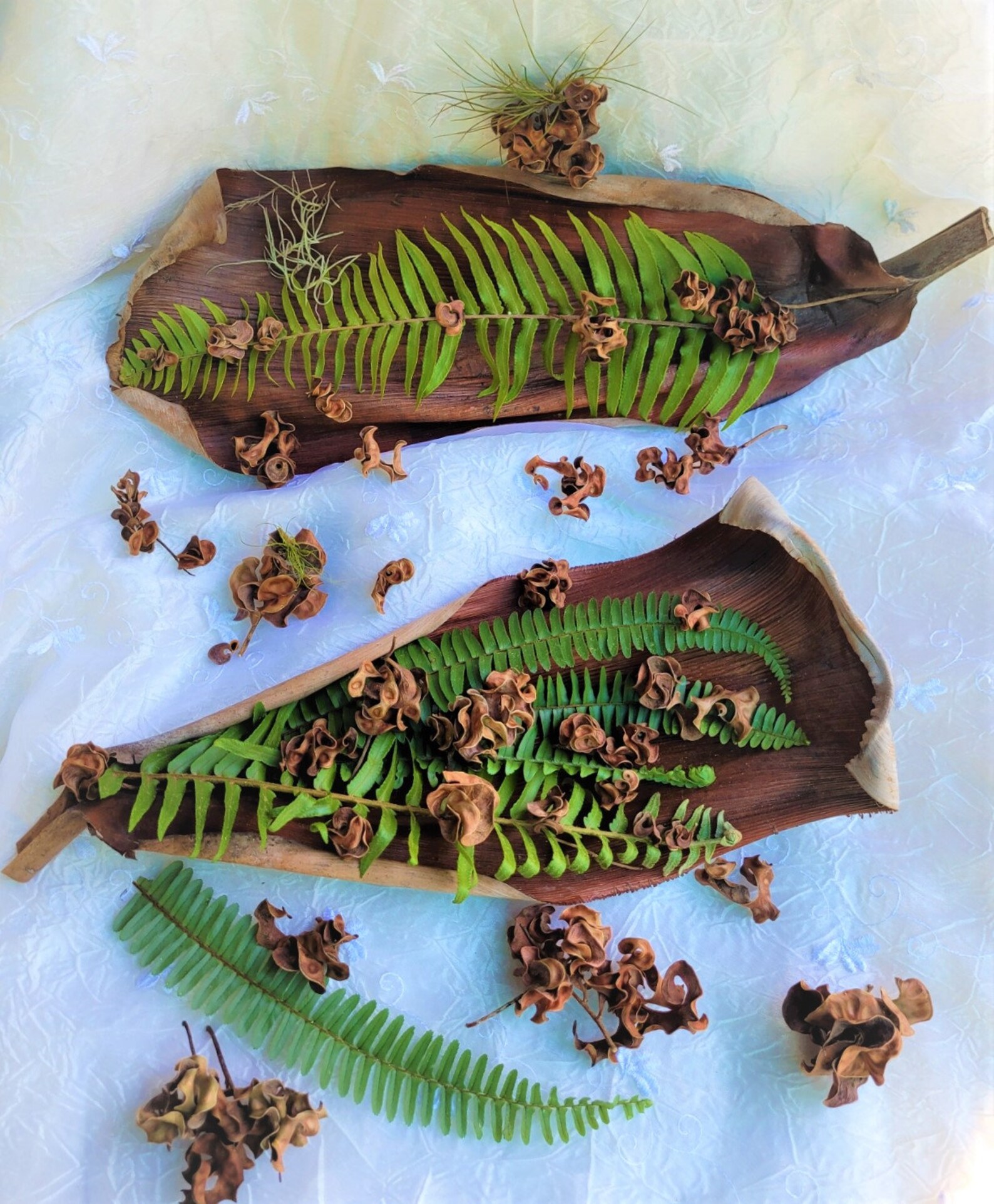 Palm Frond Art/sheath/paint Outdoor Decor/primitive/tiki/rustic Bridal ...