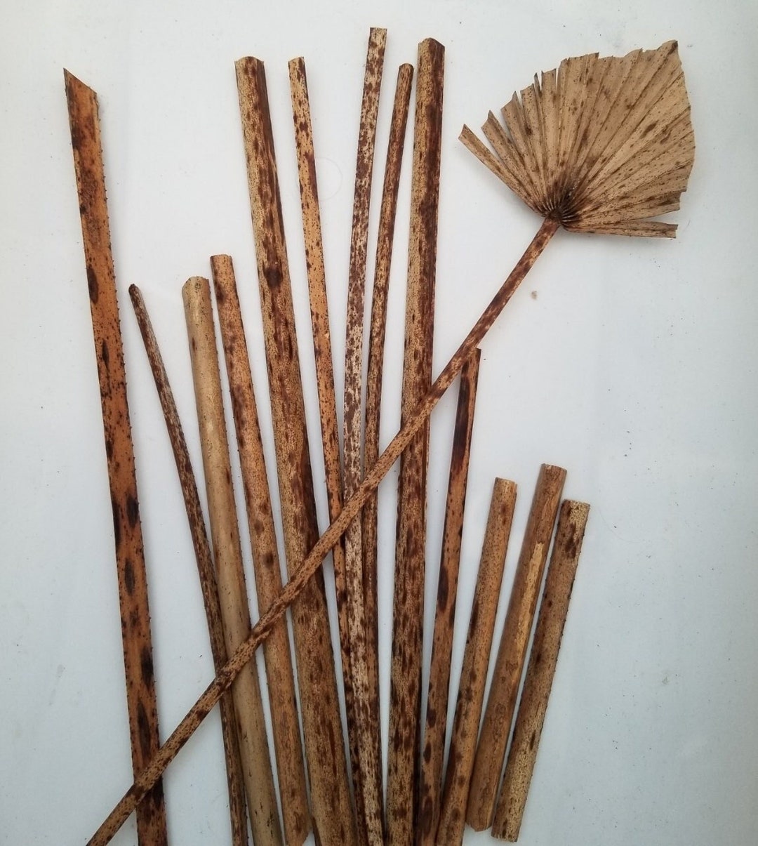 Dried Palm Branch/floral Stick/botanical/orchid Stake/natural/botanical ...
