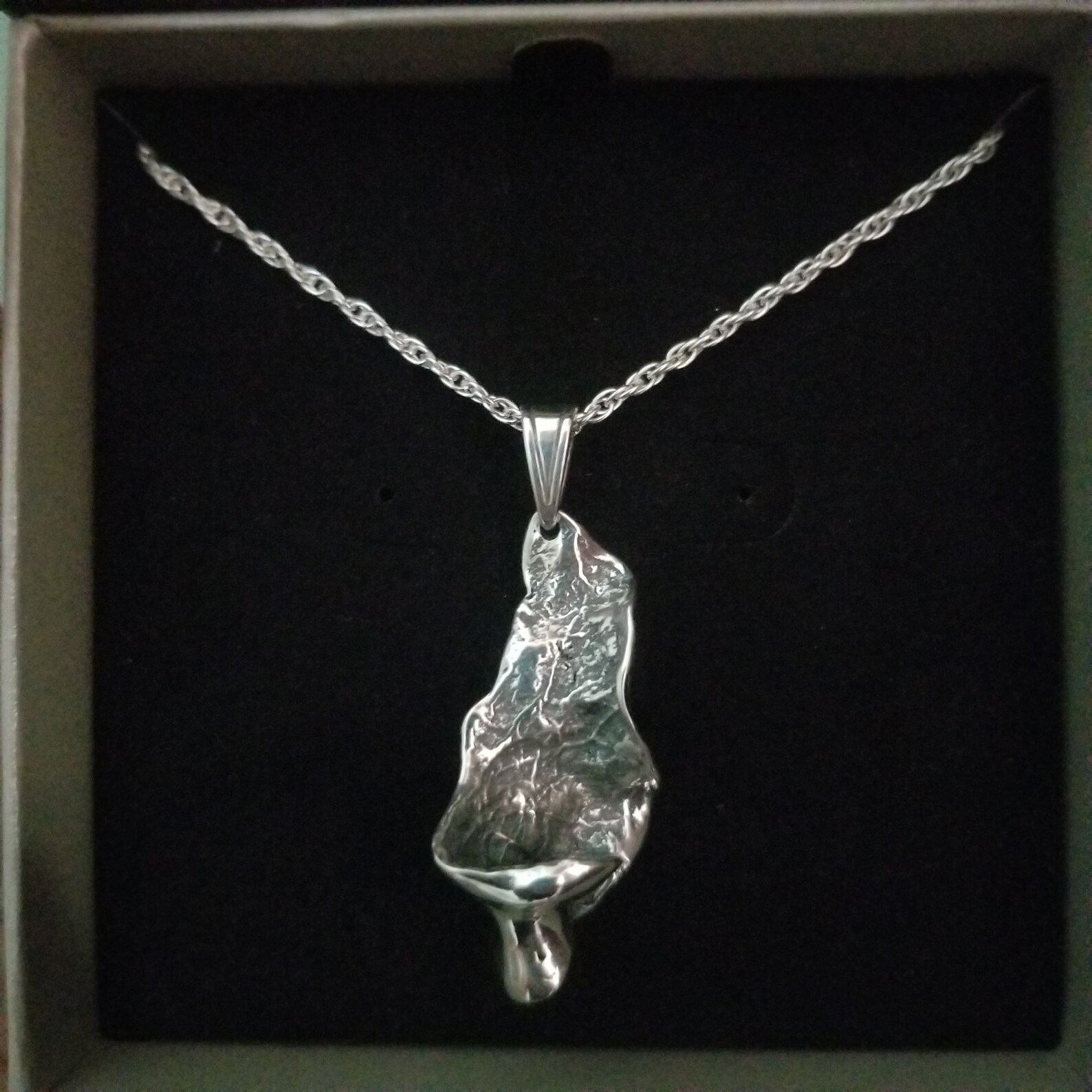 Dried Seed Pods/forest Forage/unique Natural Material/shape/rustic ...