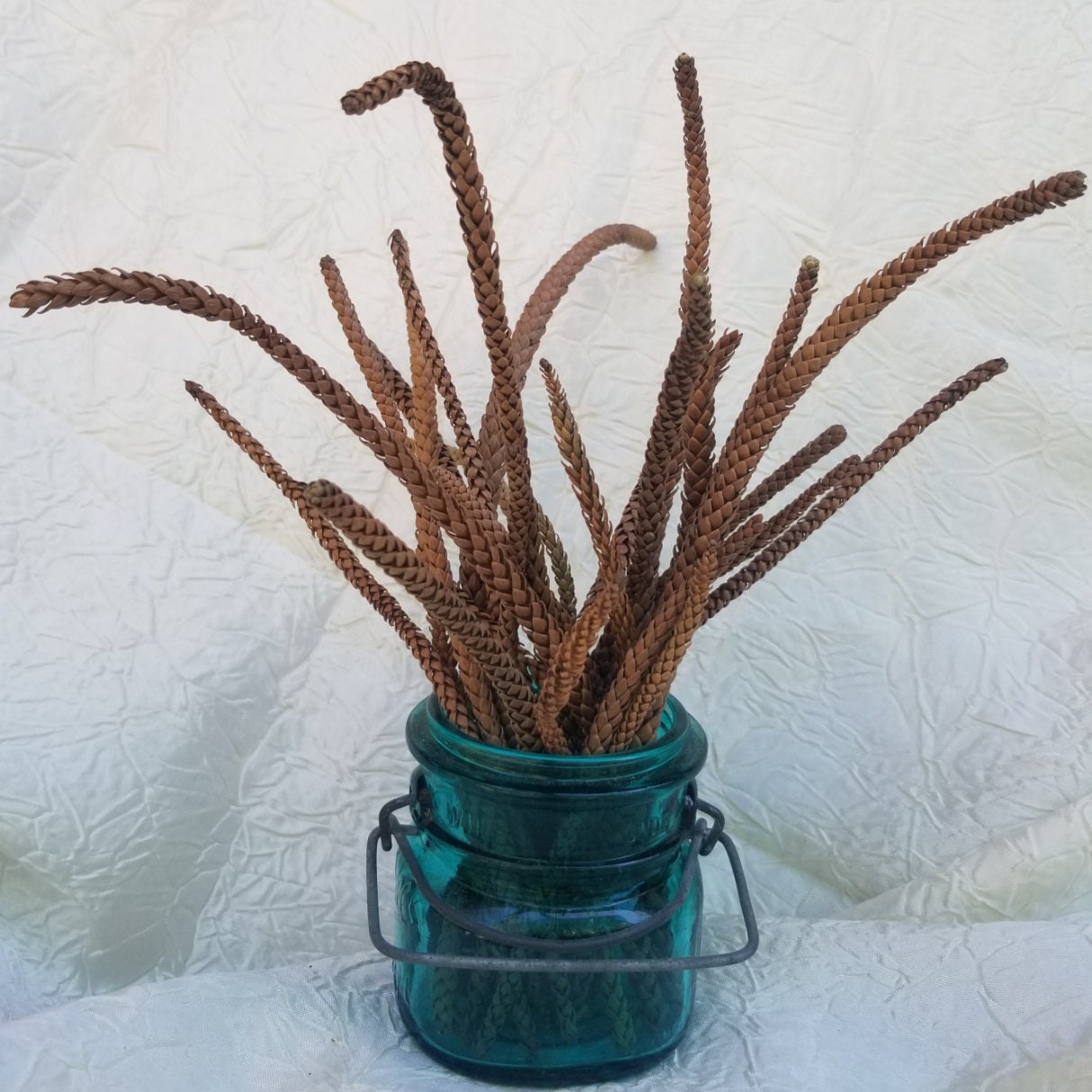 Dried Floral Branch/bent Twig/unique Shape/ - Etsy