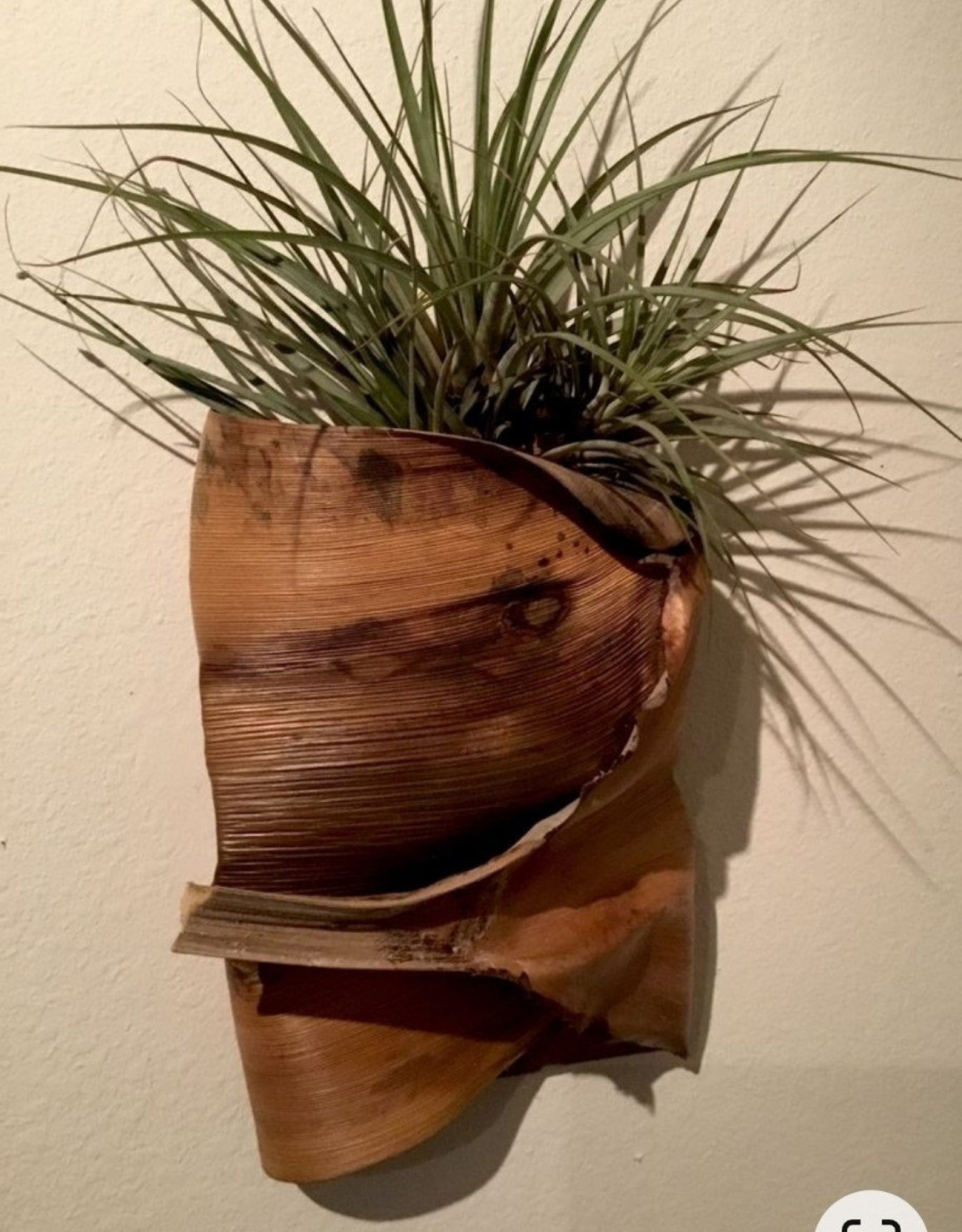 Palm Frond Art/sheath/paint Outdoor Decor/primitive/tiki/rustic Bridal ...