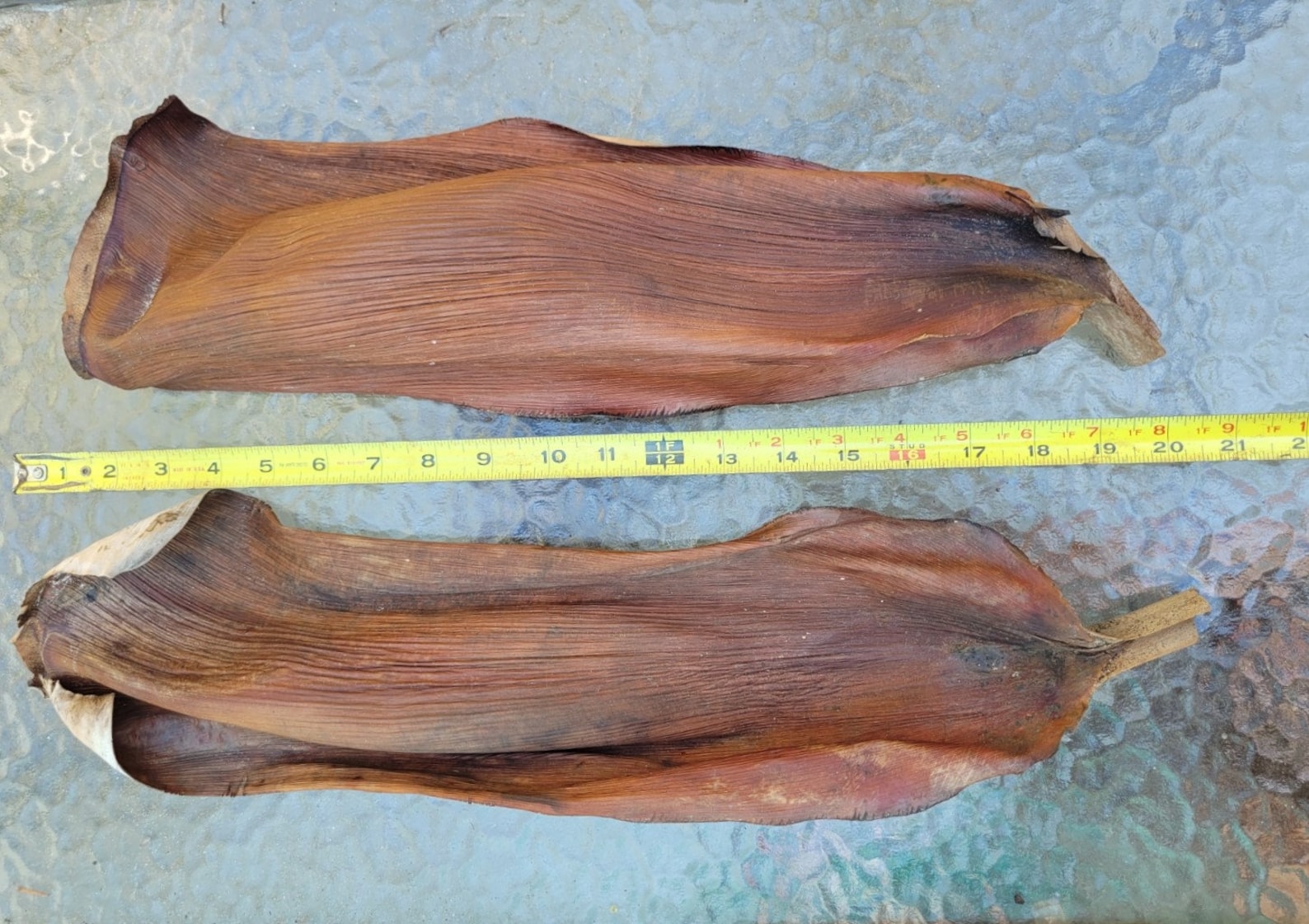 Palm Frond Art/sheath/paint Outdoor Decor/primitive/tiki/rustic Bridal ...