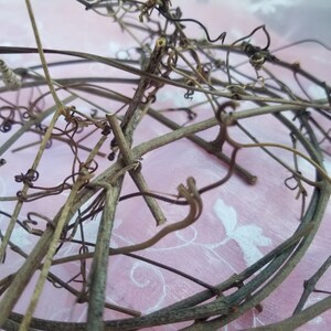 30 Ft Fresh Natural Grapevine/diy Wreath /holiday/rustic Decor/twisted ...
