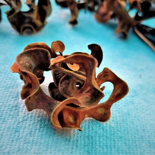 30 Dried Seed Pods/unique Natural Material/wiccan/texture/acacia Wood ...