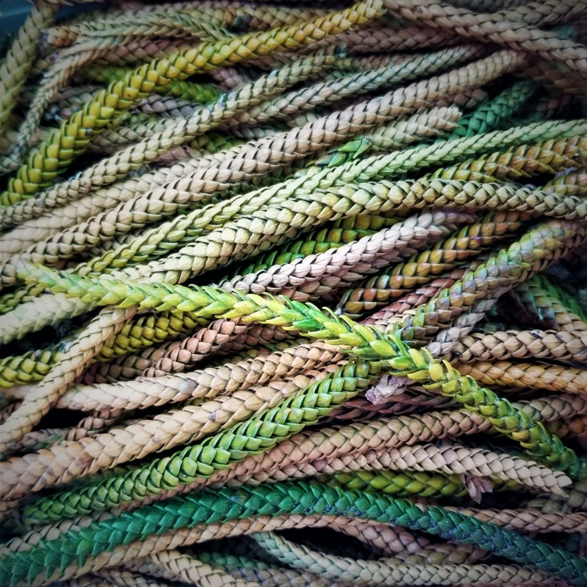 Dried Floral Branch/bent Twig/unique Shape/ Whimsey/texture/pattern ...