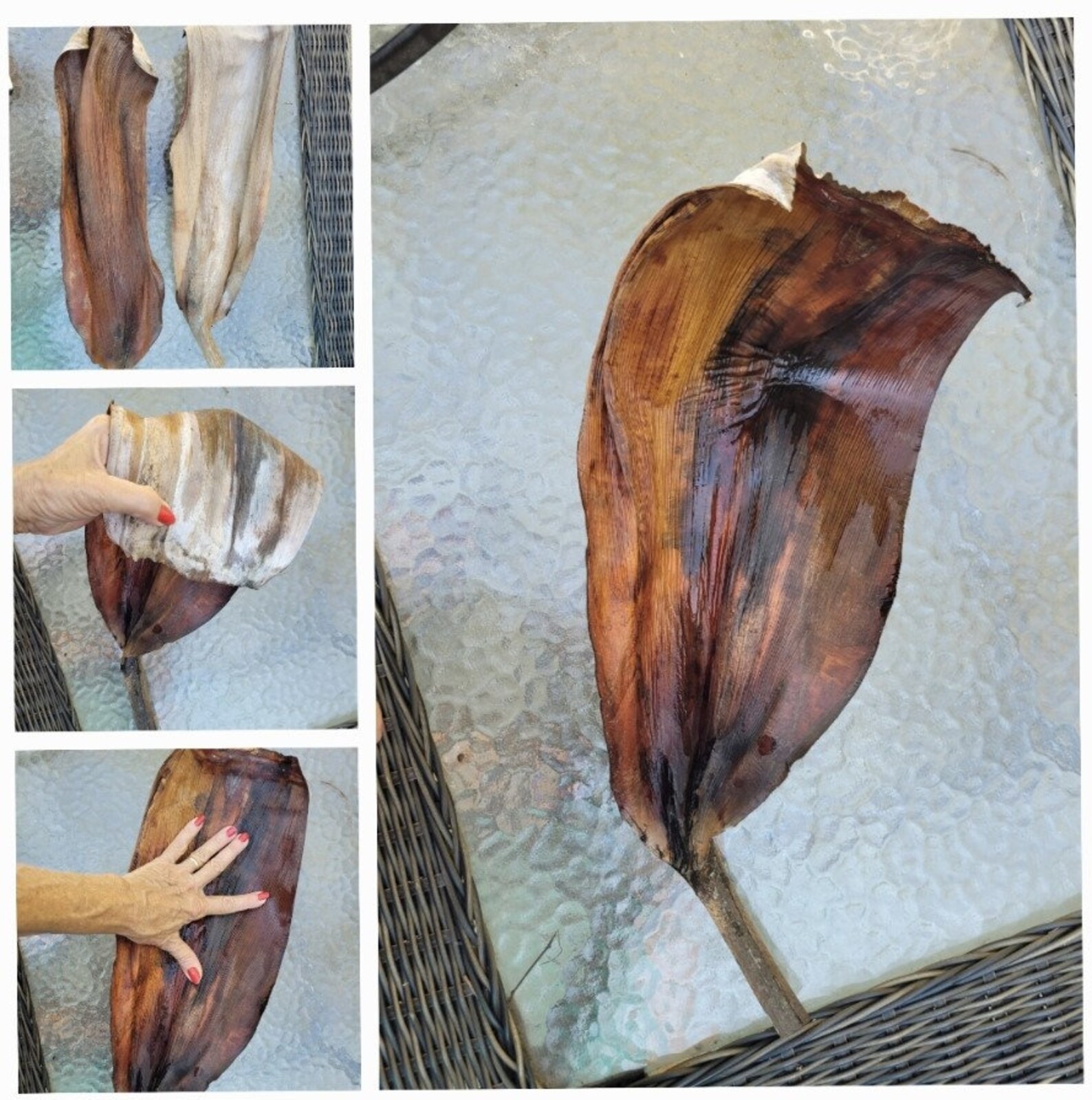 Palm Frond Art/sheath/paint Outdoor Decor/primitive/tiki/rustic Bridal ...