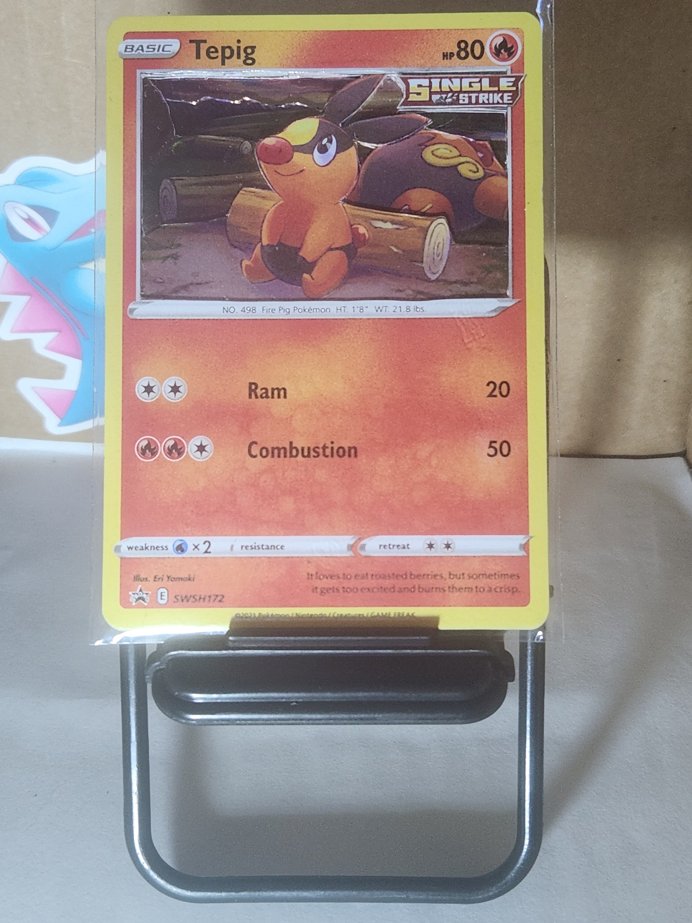 Shadow Box Pokémon Card: Tepig - Etsy