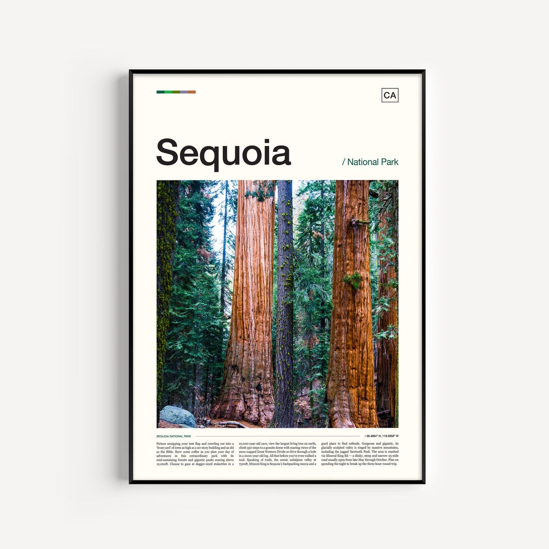 Sequoia National Park Print, Sequoia Poster, Sequoia Wall Art, Sequoia ...