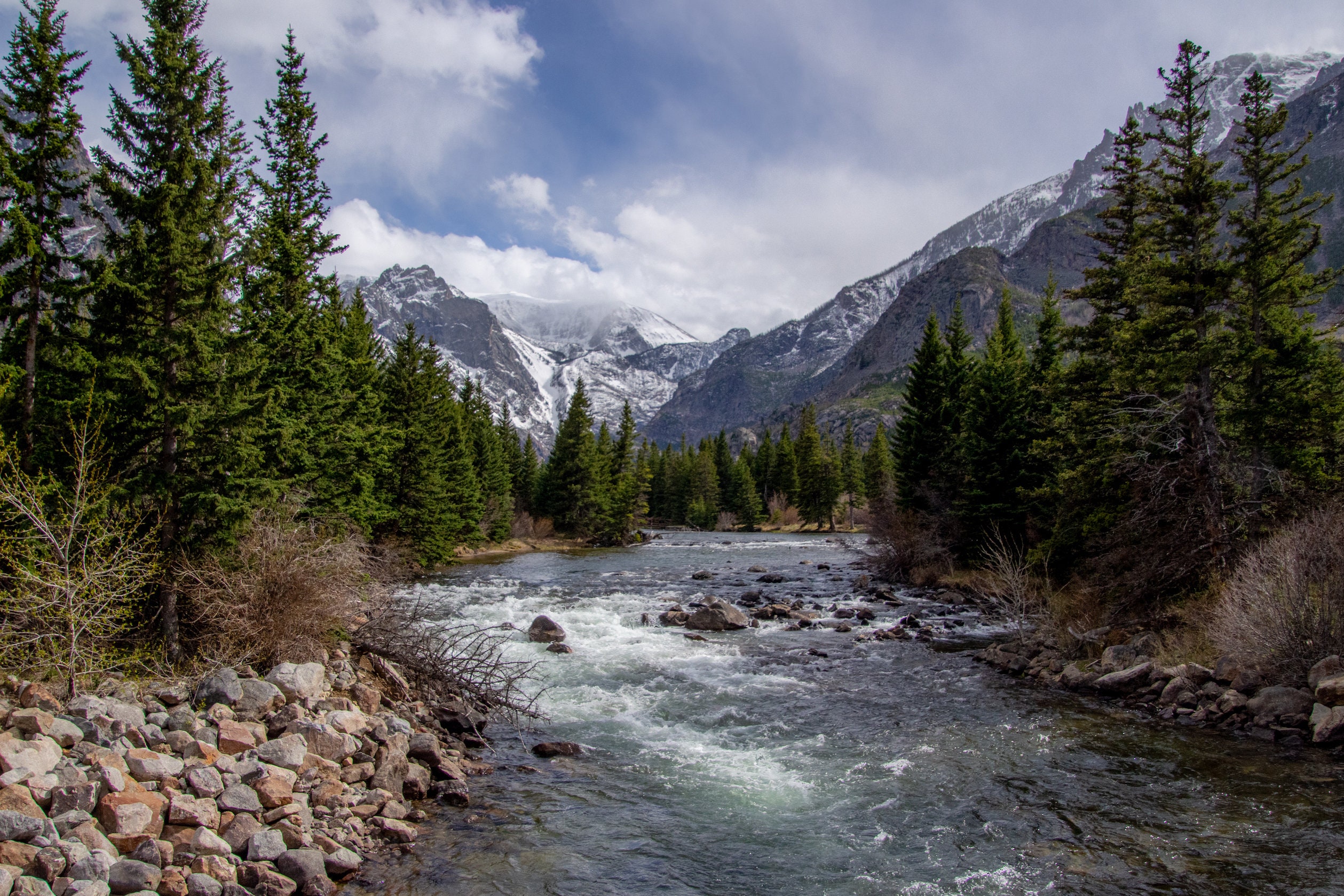 Nature Landscape Photo of River Flowing Surrounded by Trees and ...