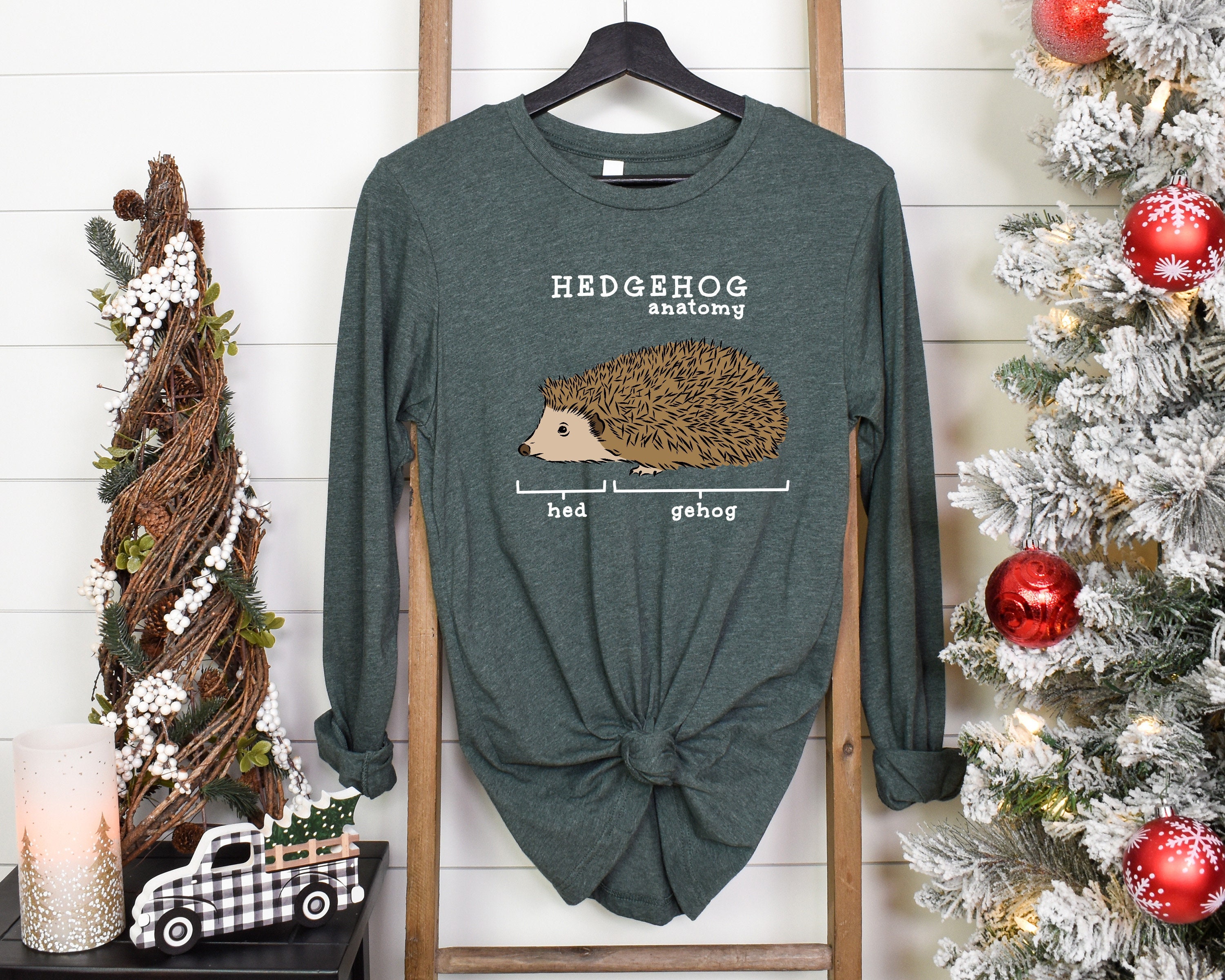 Hedgehog Sweatshirt, Hedgehog Anatomy Sweater, Cute Hedgehog Gift for ...