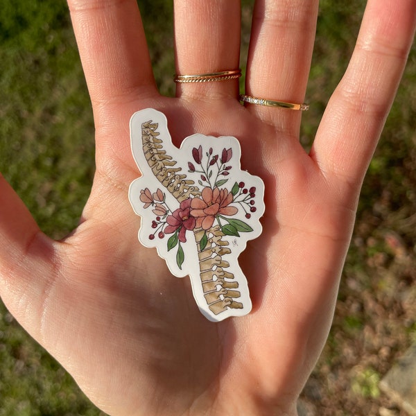 Chiropractic Stickers - Etsy