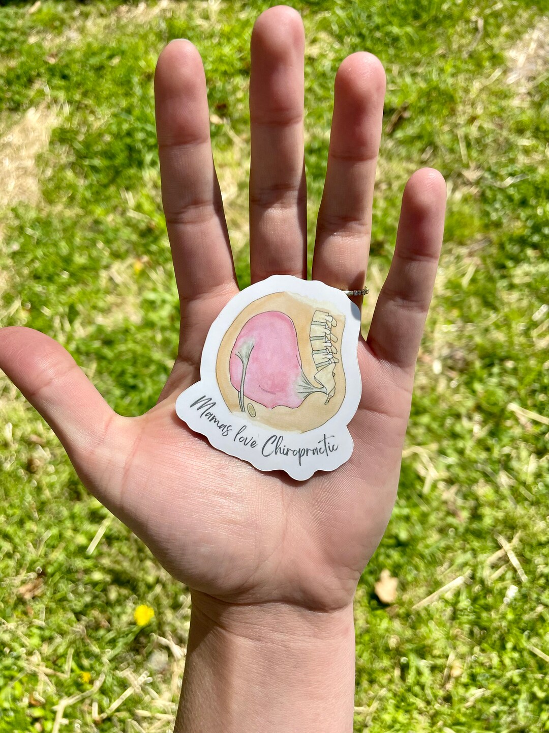 Hand-painted Chiropractic & Anatomy Stickers: Mamas Love - Etsy