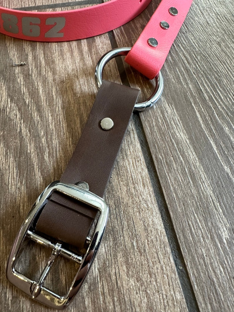 Biothane Horse or Cow Collar - Etsy