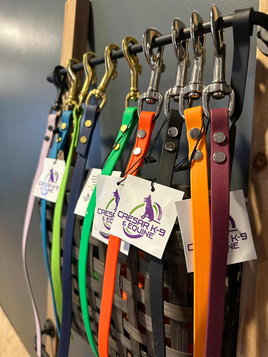 Biothane Tab Leash - Etsy