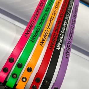 Biothane Tab Dog Leash Personalized 1/2" - Etsy