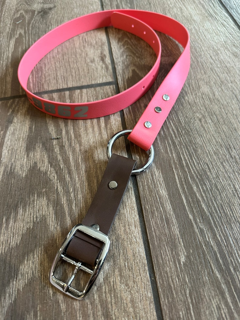 Biothane Horse or Cow Collar - Etsy