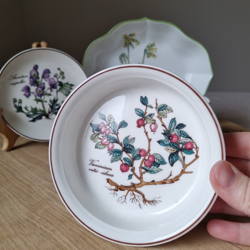 Botanical Plates - Etsy