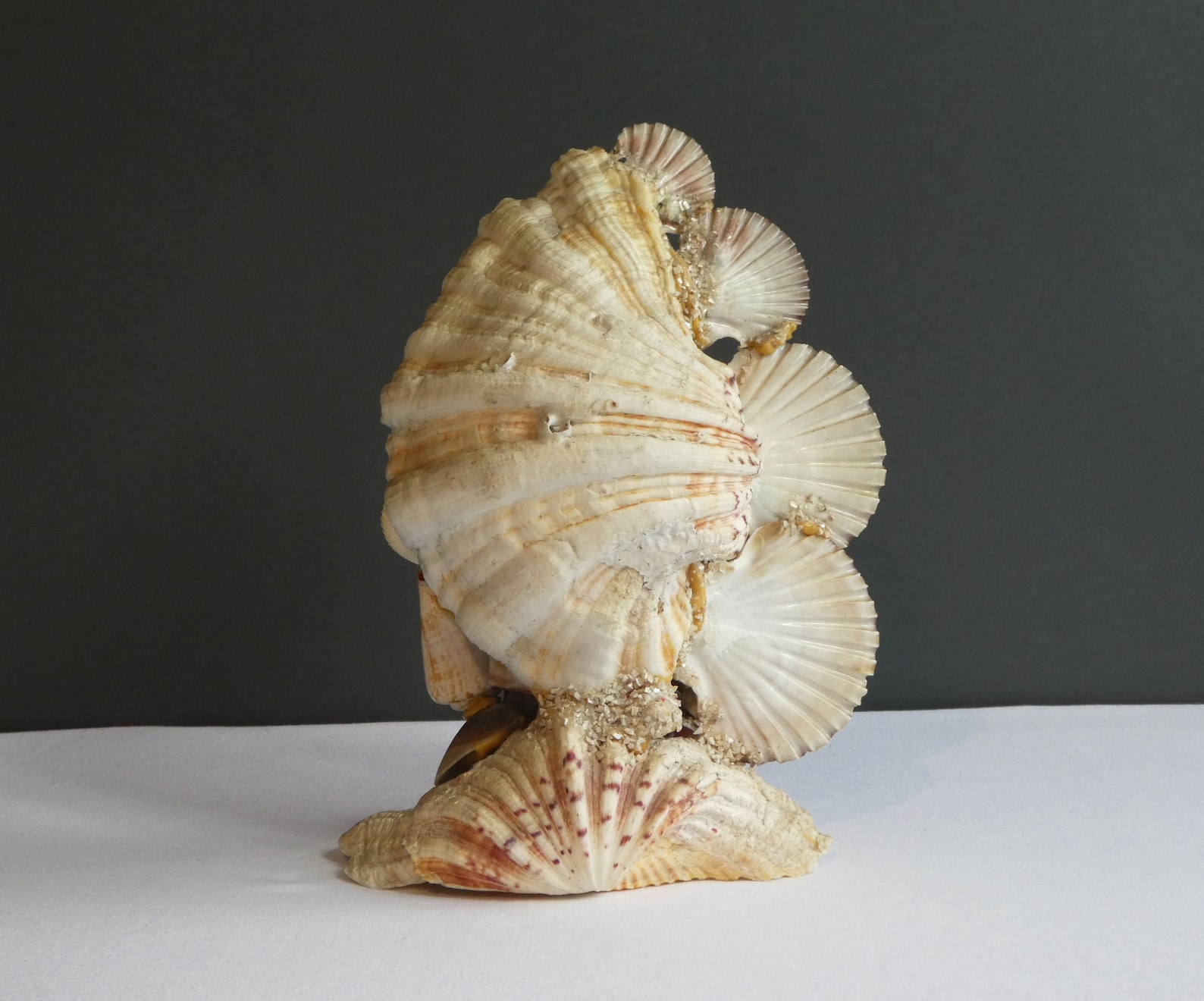 Rare Beautiful Virgin Mary in Seashells, Holy Mary Shellware Statue ...