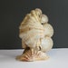 Rare Beautiful Virgin Mary in Seashells, Holy Mary Shellware Statue ...
