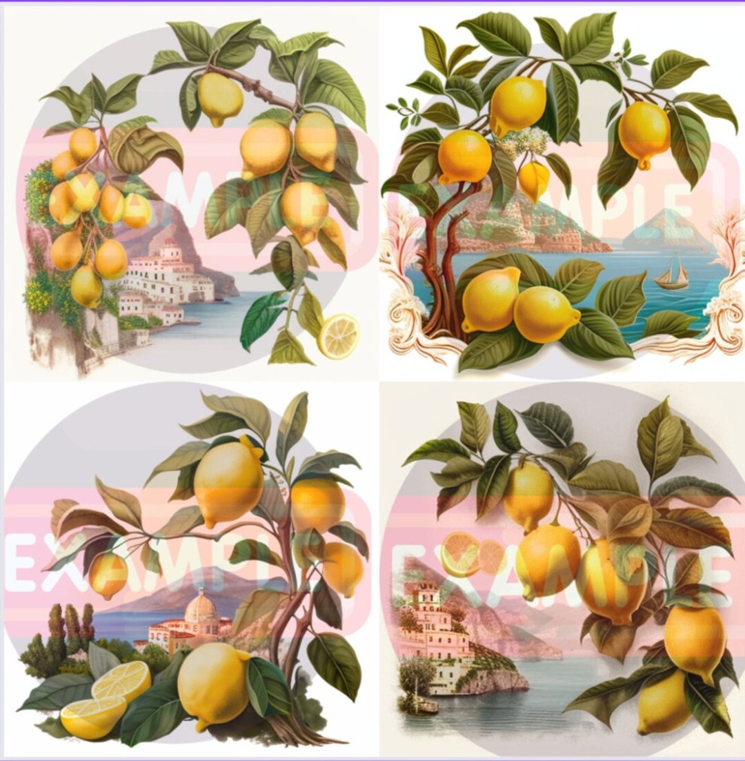 Italy Positano Lemon Clip Art Digital Art Download PNG SVG 8 Image ...