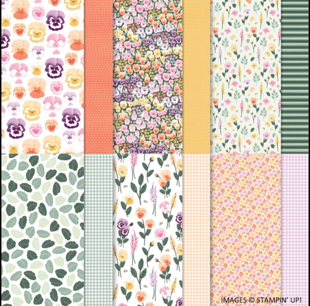 Stampin’ Up! 12x12 Retired Designer Series Paper, Flight & Airy, - Etsy