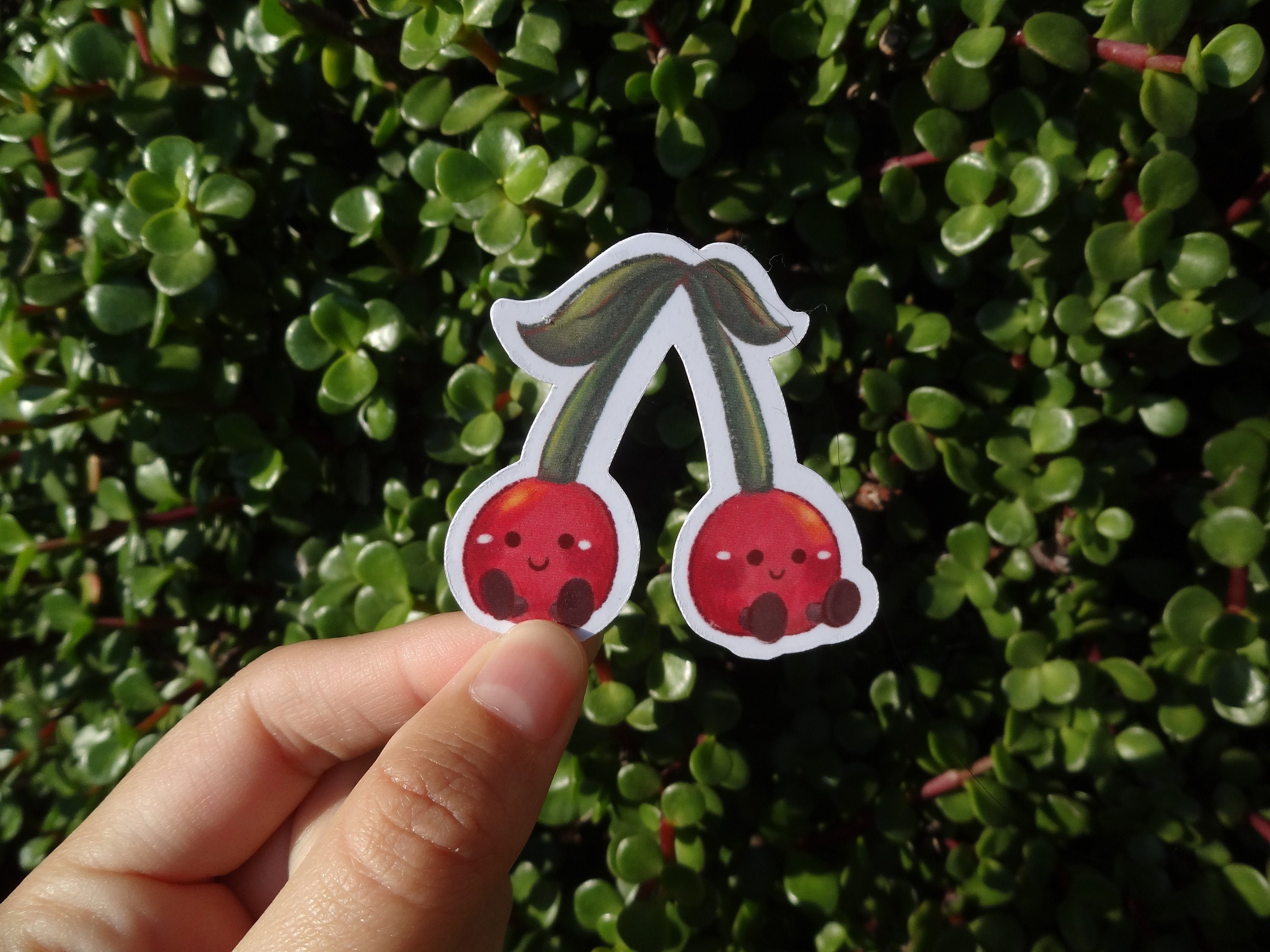 Cherry Sticker - Etsy
