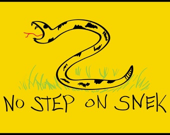 No Step on Snek Decal - Etsy