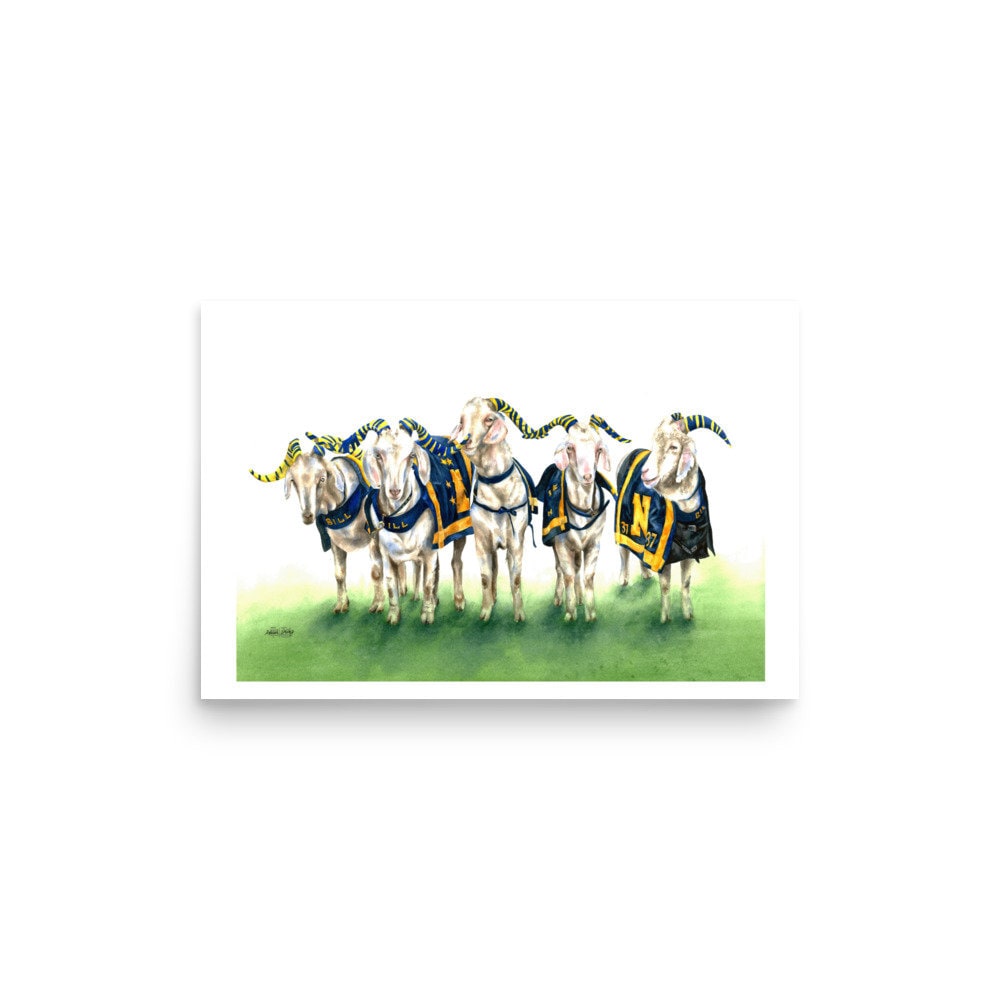 USNA Navy Mascot Goats | '5 Bills' - Etsy