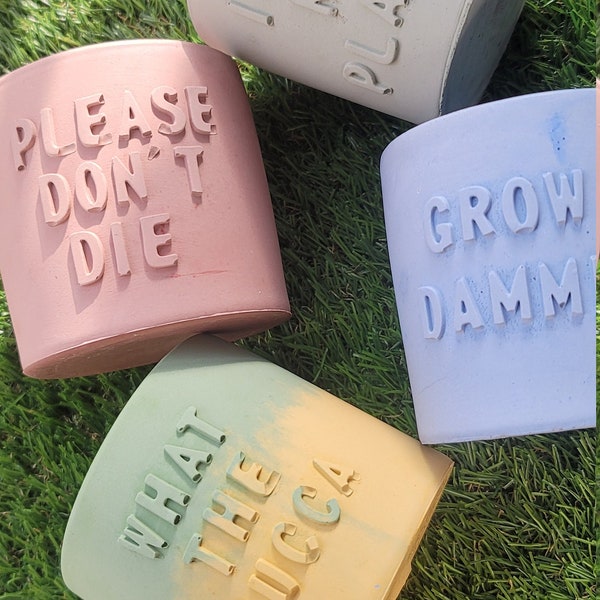 Funny Planters - Etsy