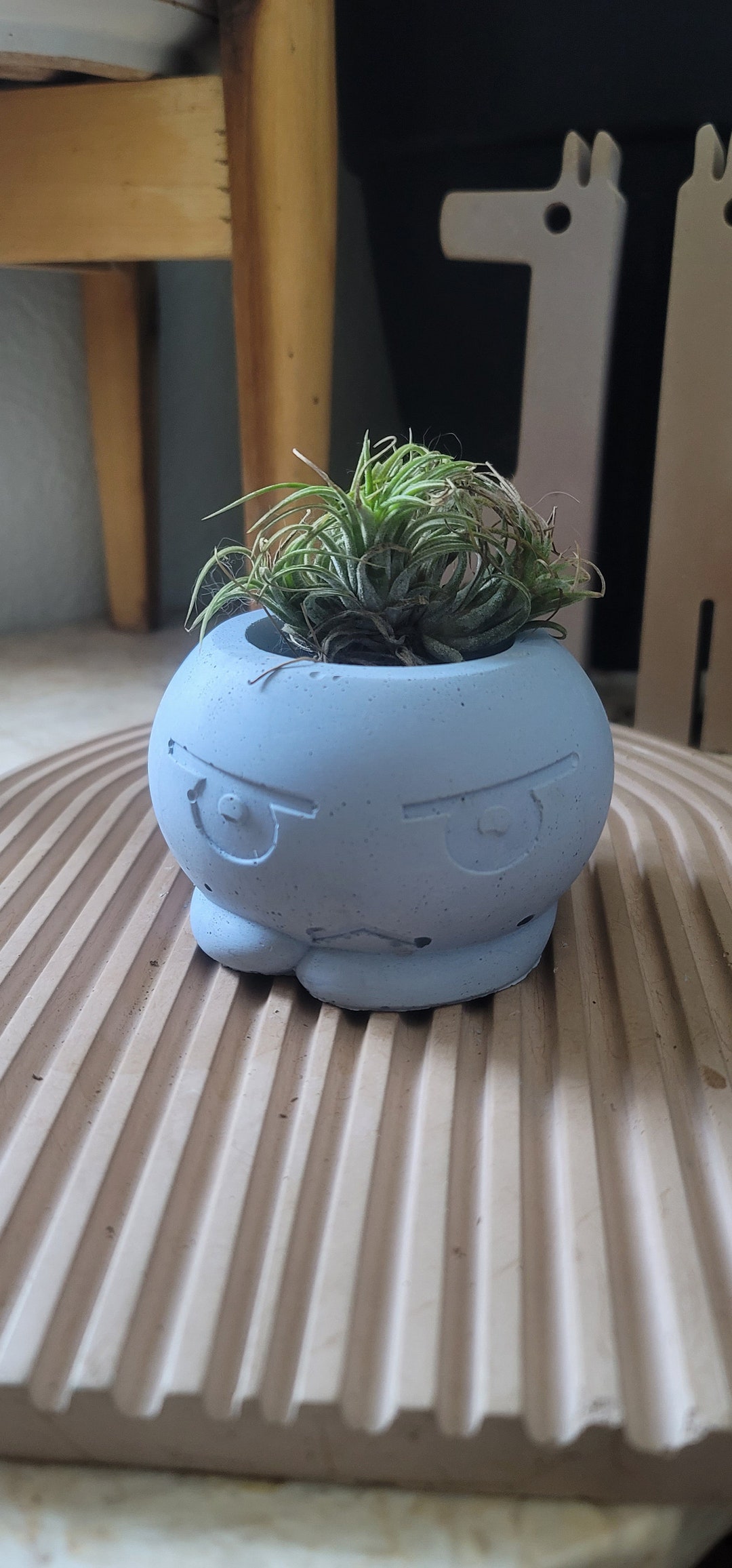 Cement Pokemon Planter Pokémon Succulent Planter Pokémon Decor Pokémon ...