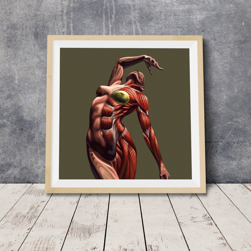 Female Torso Drawing - Etsy