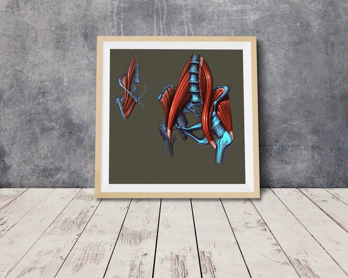 Psoas Anatomy Art Print Pelvic Pelvis Bone Hip Flexors Gift - Etsy