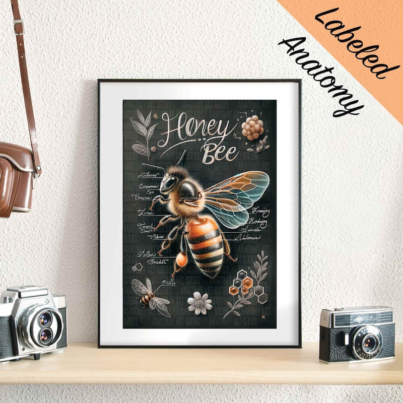 Honey Bee Art - Etsy