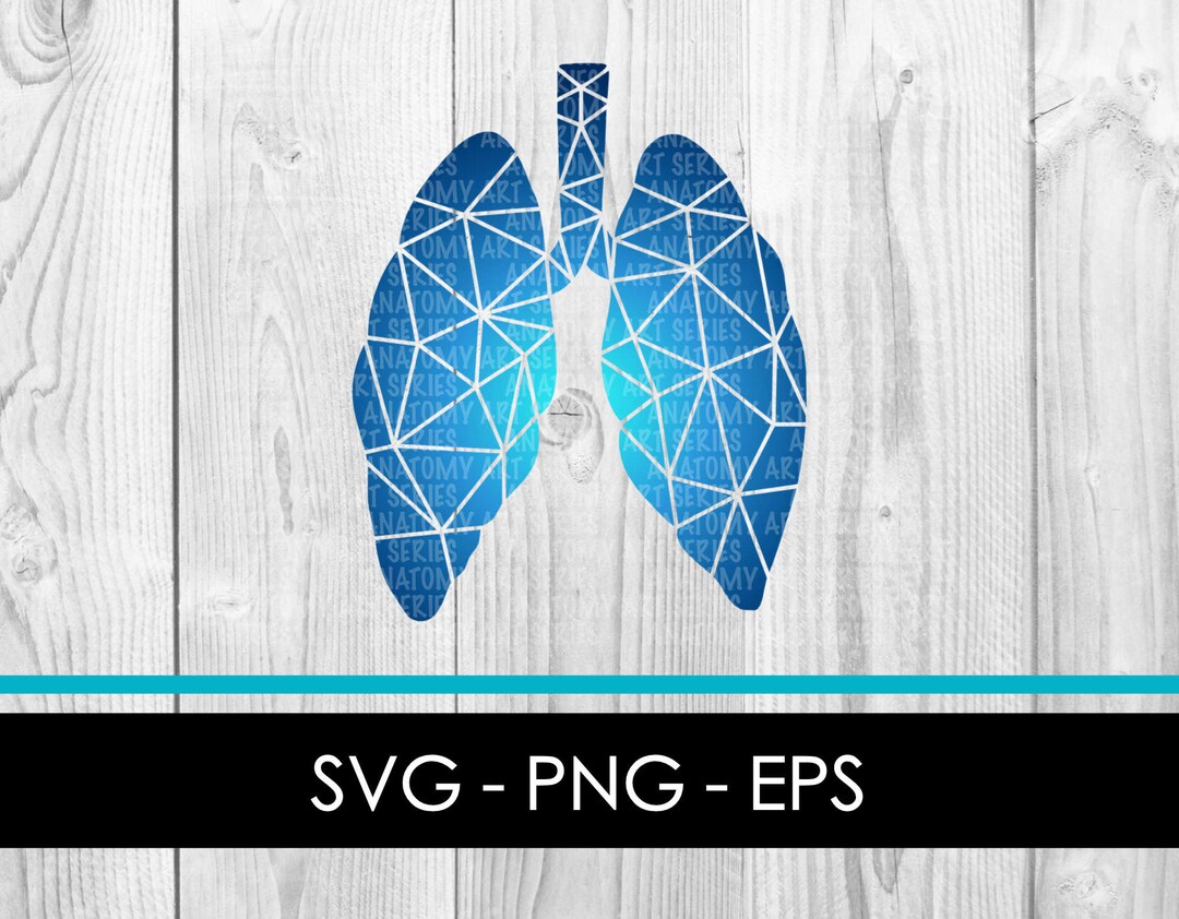 Lung Anatomy Svg/Respiratory system Svg/Silhouette cut files - Etsy ...